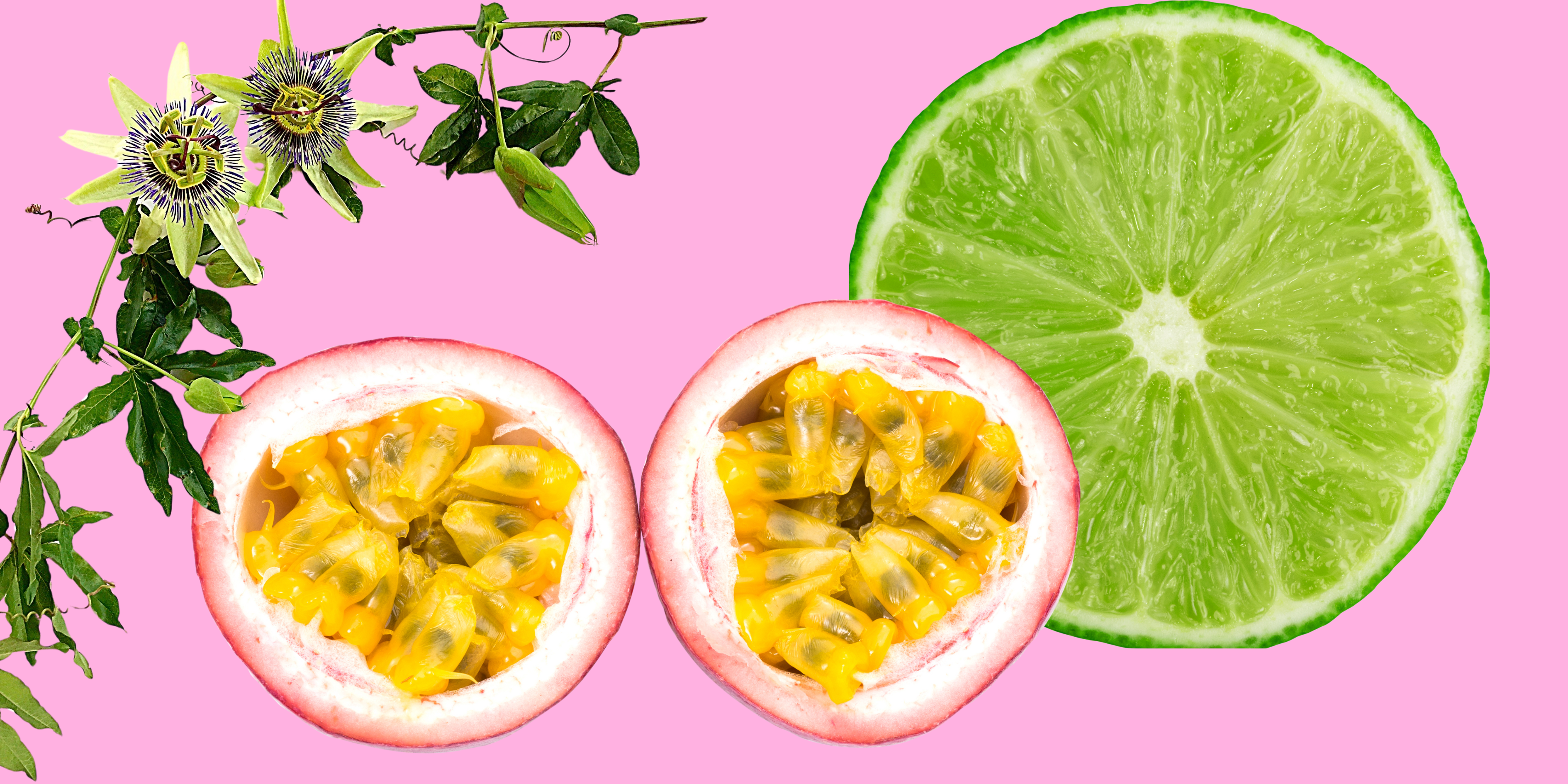 PASSION FRUIT & LIME – Lee and Lou Collections